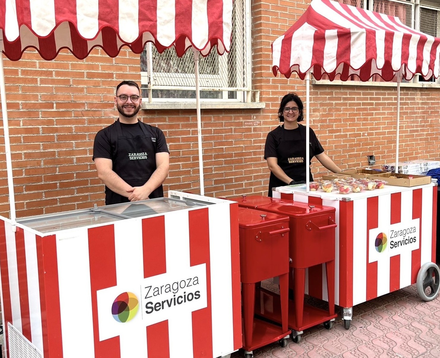 ¿Cuándo tienen éxito nuestros carritos? • Zaragoza Servicios